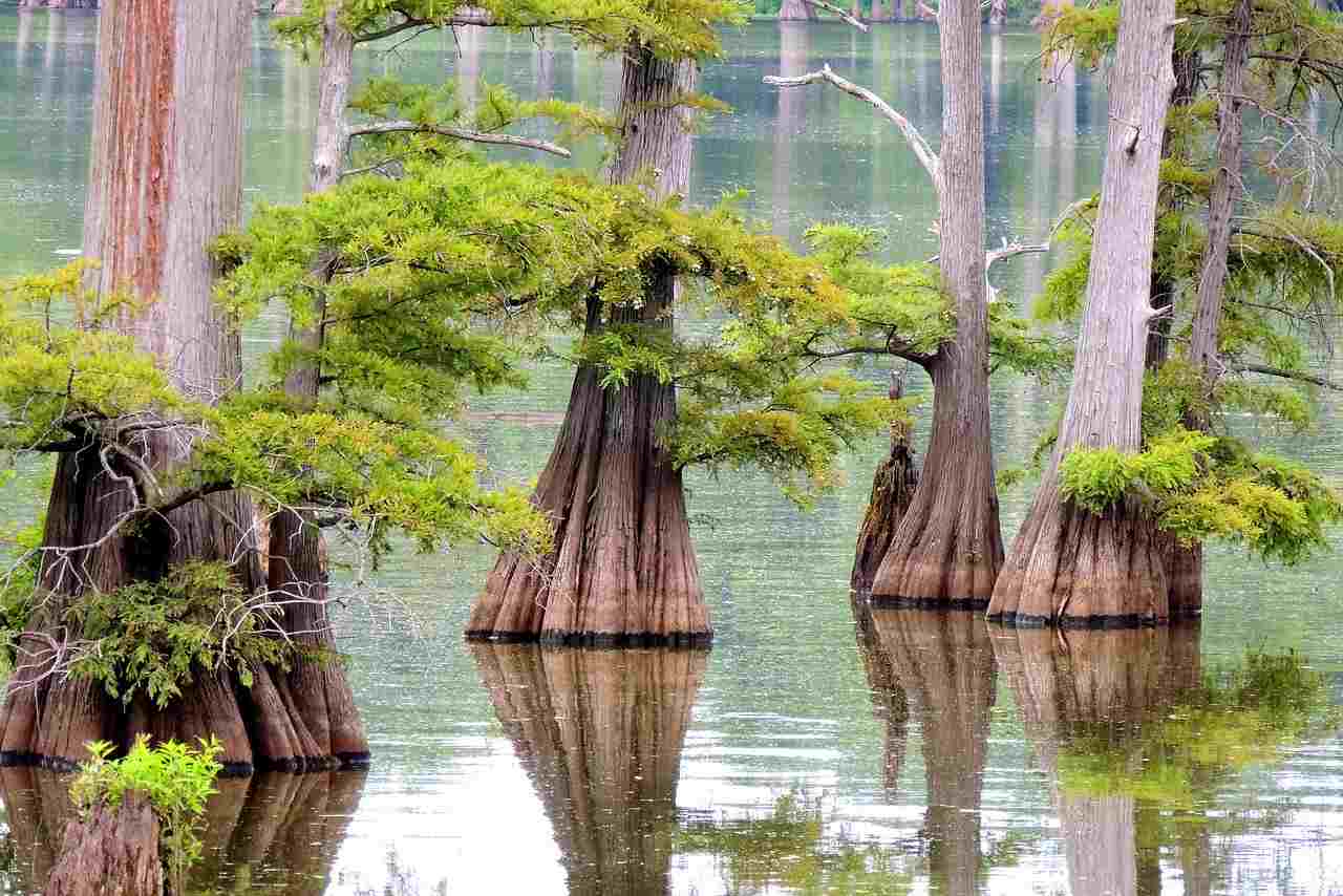 16 Best Lakes In Florida With Map To Find Them