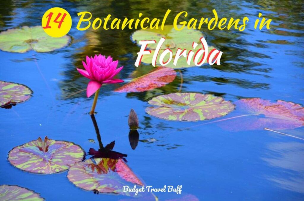 14 Best Botanical Gardens In Florida To Visit