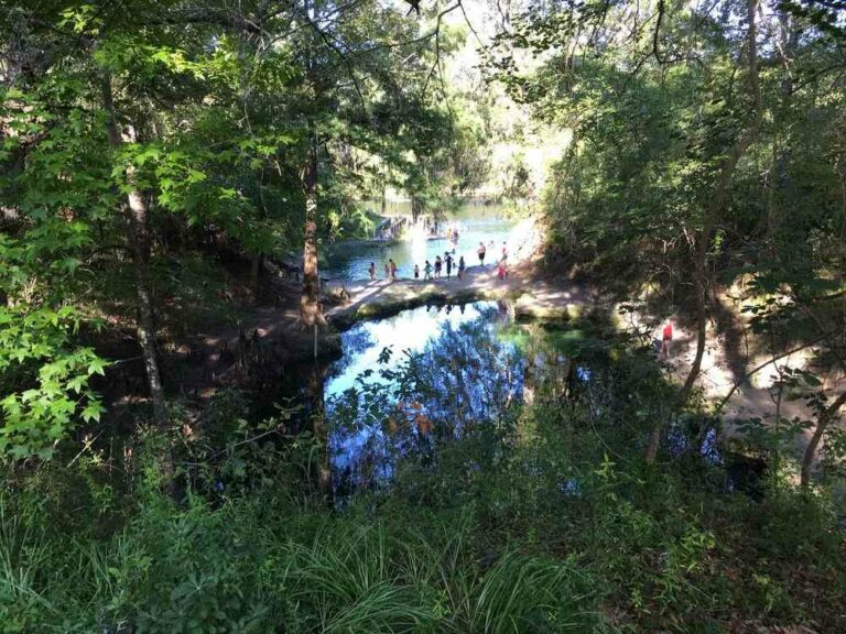 10 Gorgeous Springs Near Jacksonville, Florida