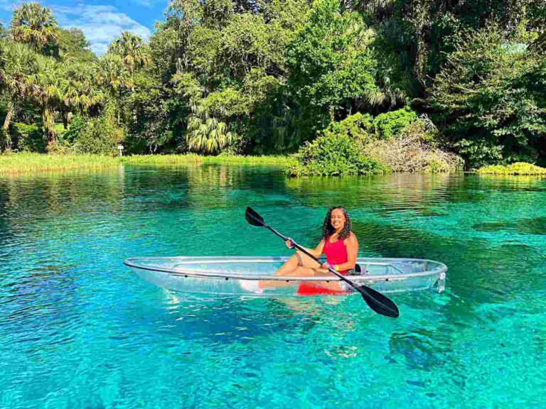 8 Prettiest Springs In Ocala That Everyone Must Visit