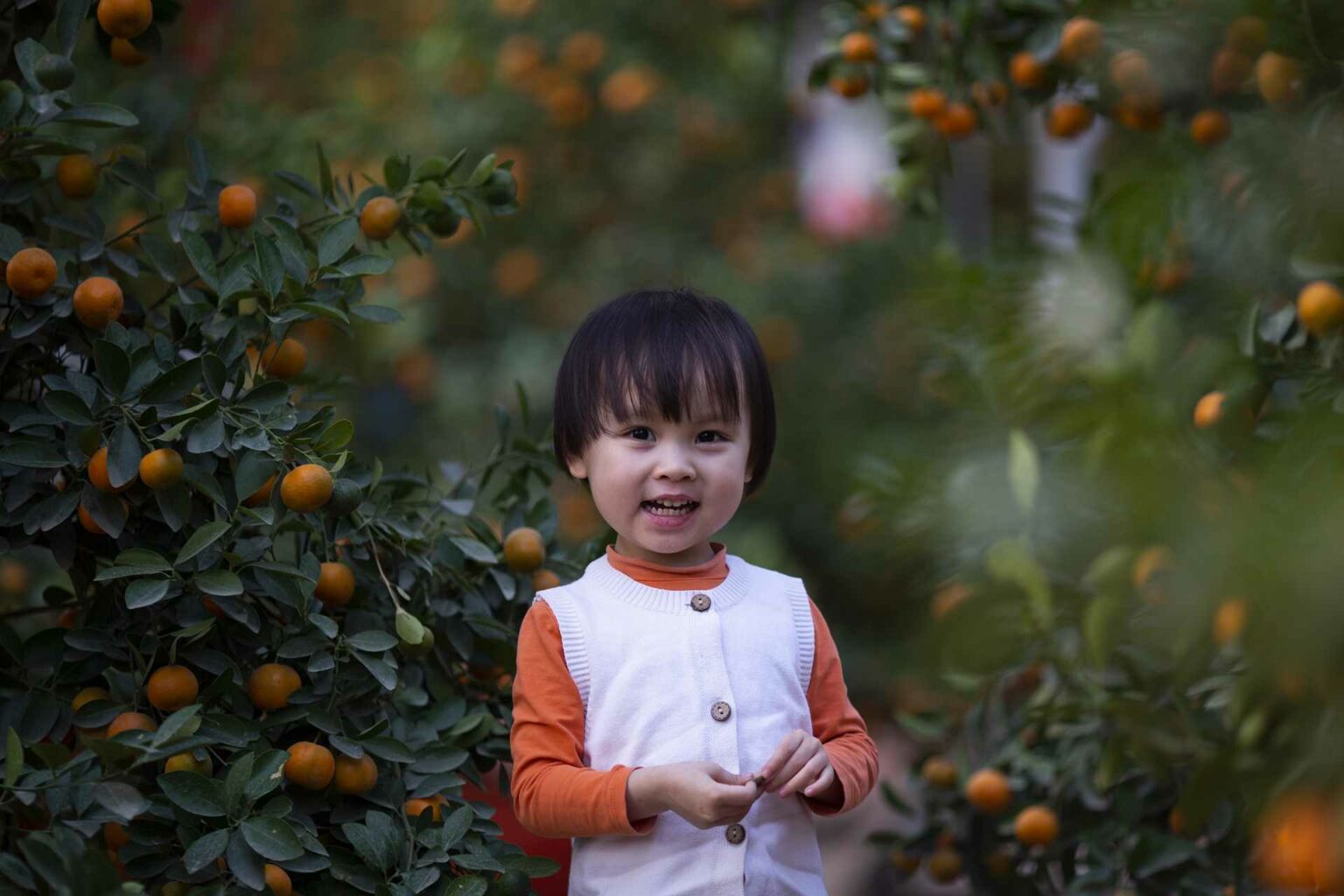 Orange Picking In Orlando: 8 U-Pick Orange Groves In Orlando