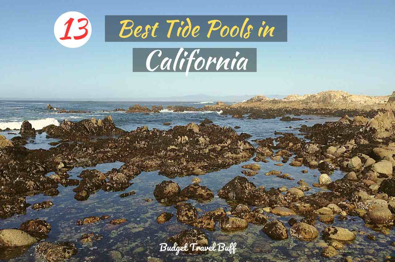 The Ultimate Guide 13 Best Tide Pools In California The Ultimate Guide 13 Best Tide Pools In California